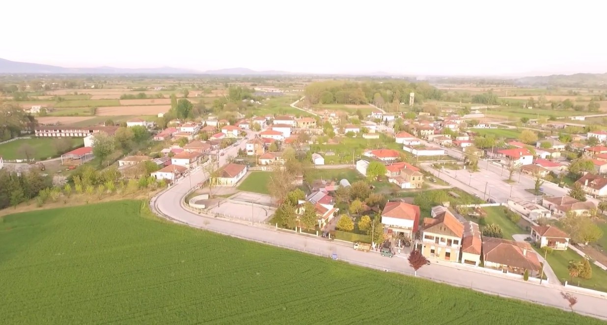 Lazarina - Dairy News