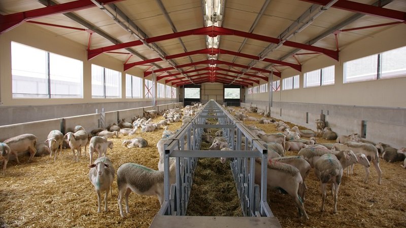 Φάρμα Ήπειρος: Συνεχίζει να αναπτύσσεται - Dairy News